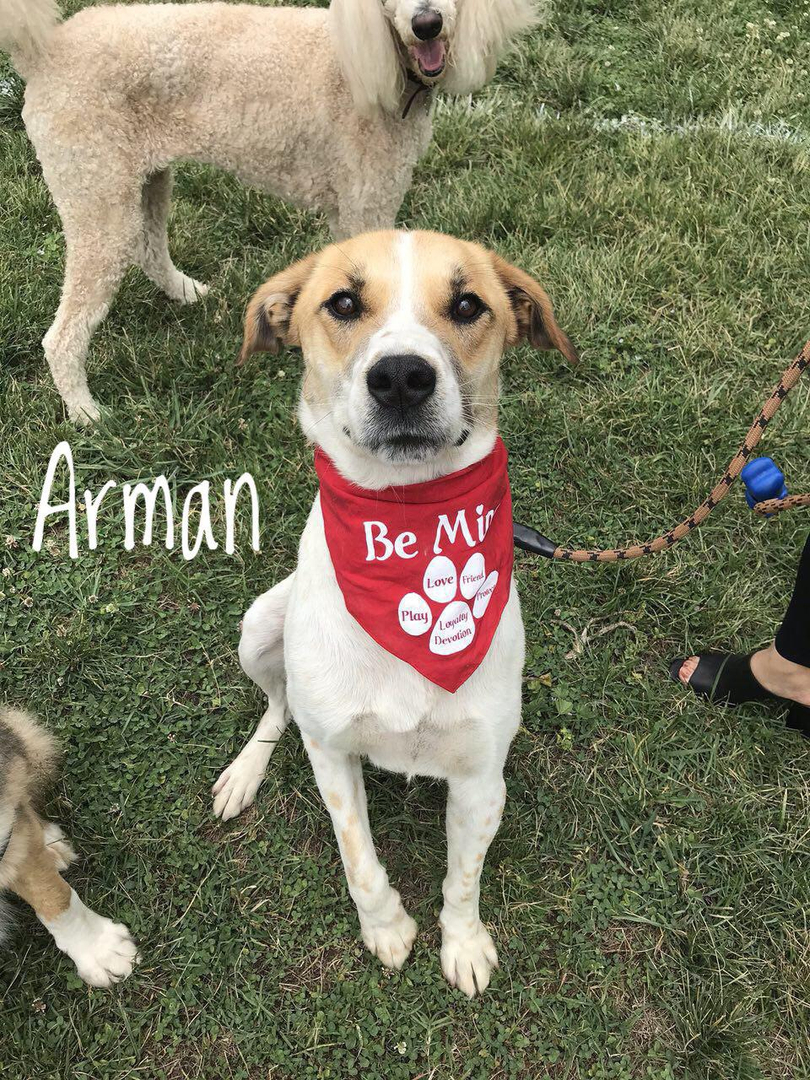 arman – One Planet Rescue