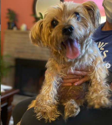 Sonny – One Planet Rescue