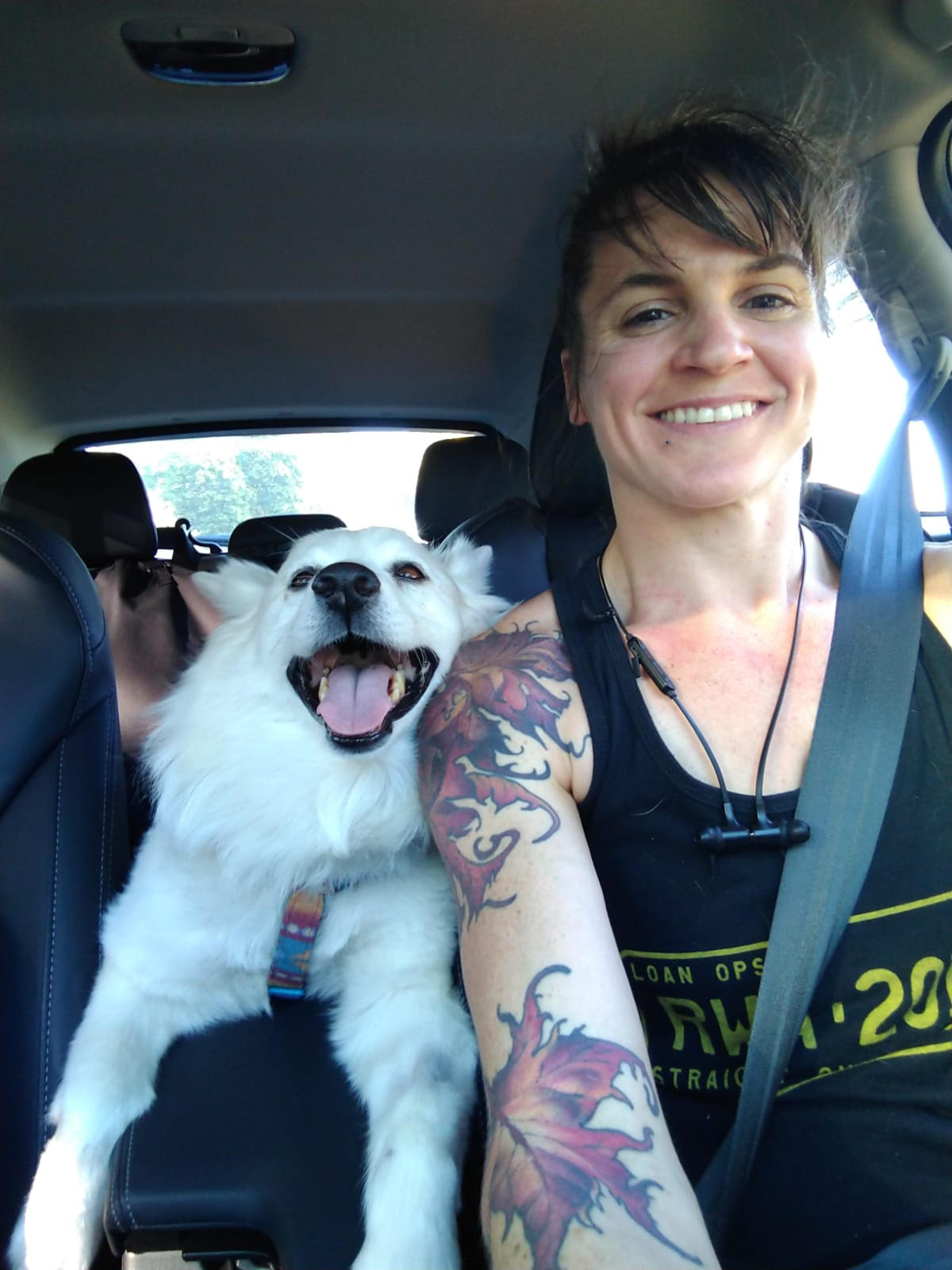 Arrow – One Planet Rescue