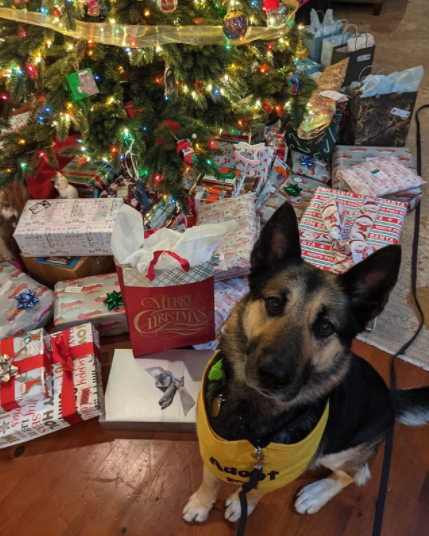 Buddy – One Planet Rescue