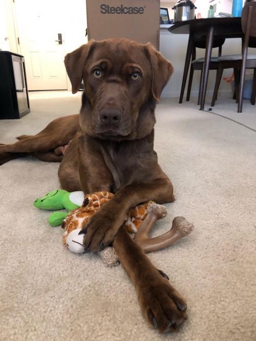 Max – One Planet Rescue