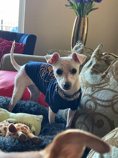 Lucky – One Planet Rescue