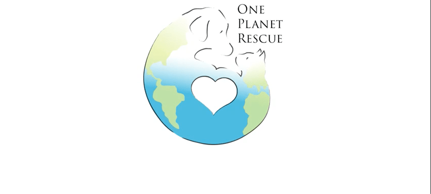 Gone, But Never Forgotten – One Planet Rescue