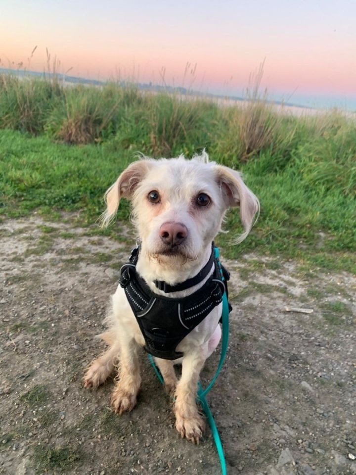 Bella – One Planet Rescue