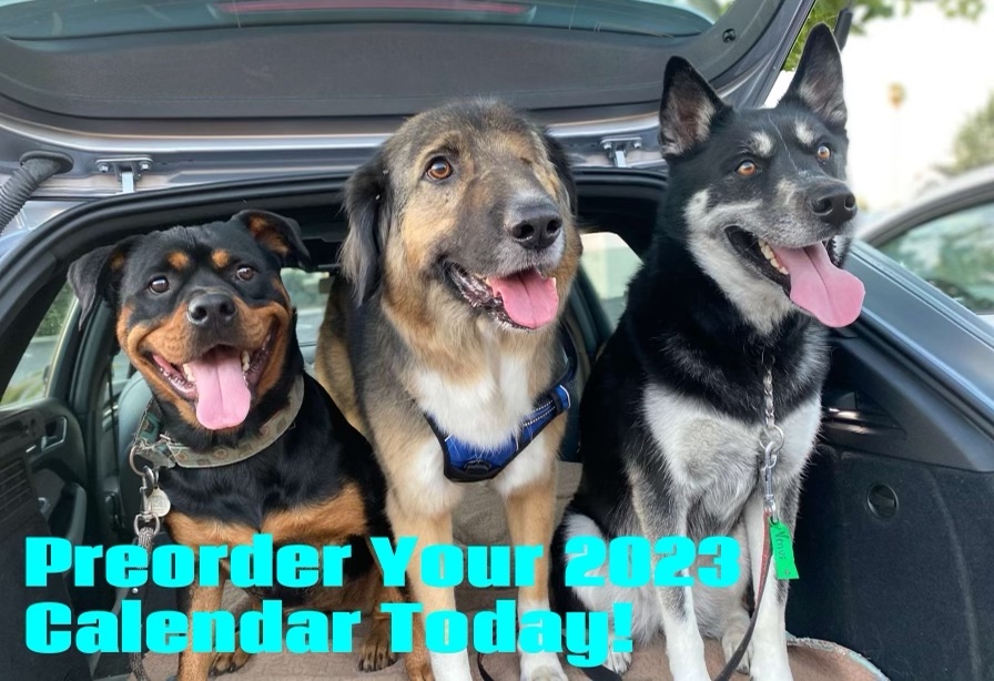 Pre-Order your OPR 2023 Calendar! – One Planet Rescue