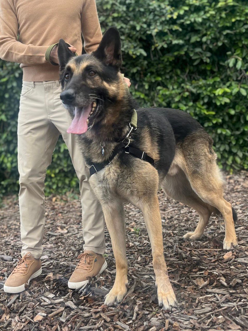 Turbo – One Planet Rescue