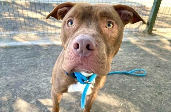 Makan – One Planet Rescue