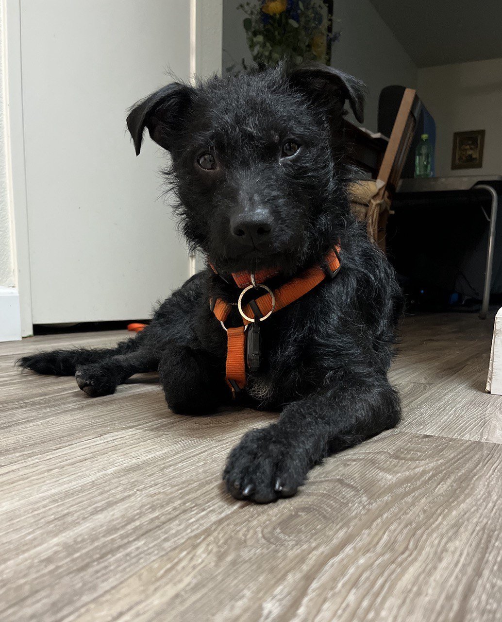 Troy – One Planet Rescue