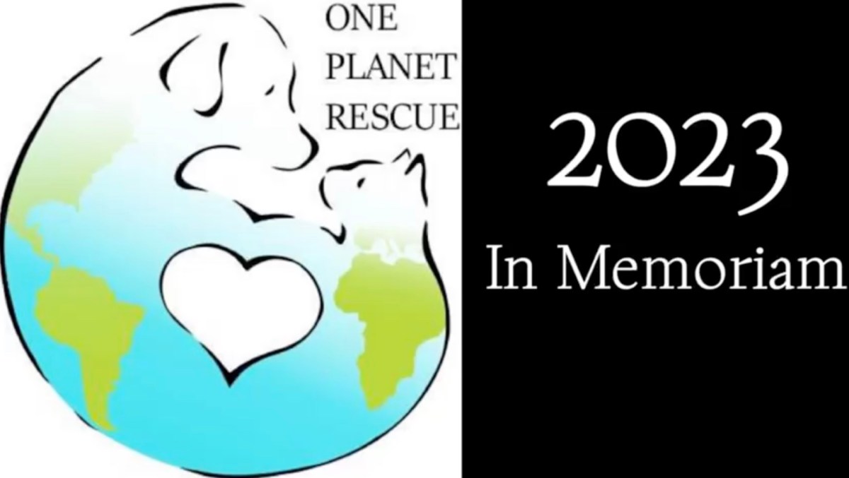 2023 In Memoriam – One Planet Rescue
