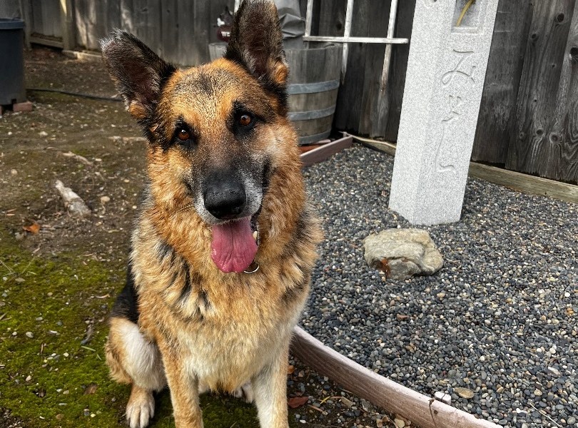 One Planet Rescue – One Planet | One Goal | One Rescue At A Time